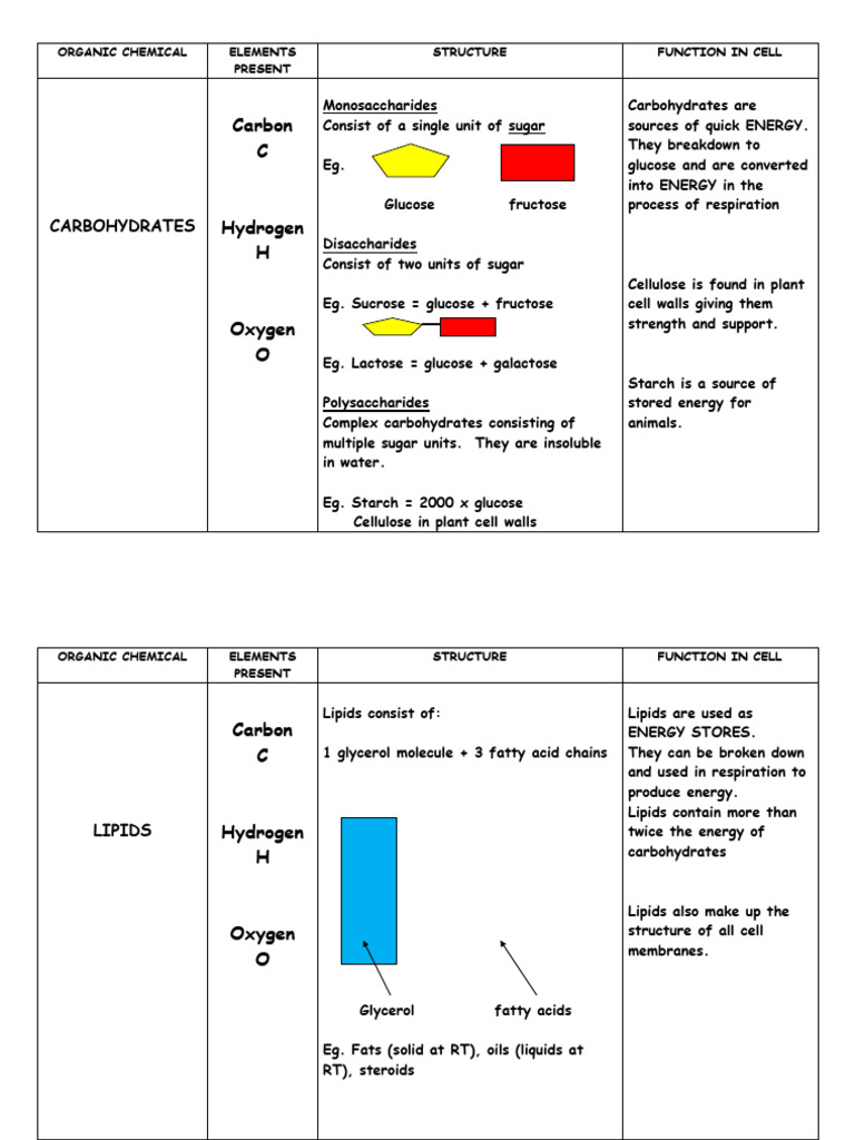 Chemicals in Cells Answers | PDF | Carbohydrates | Nucleic Acids