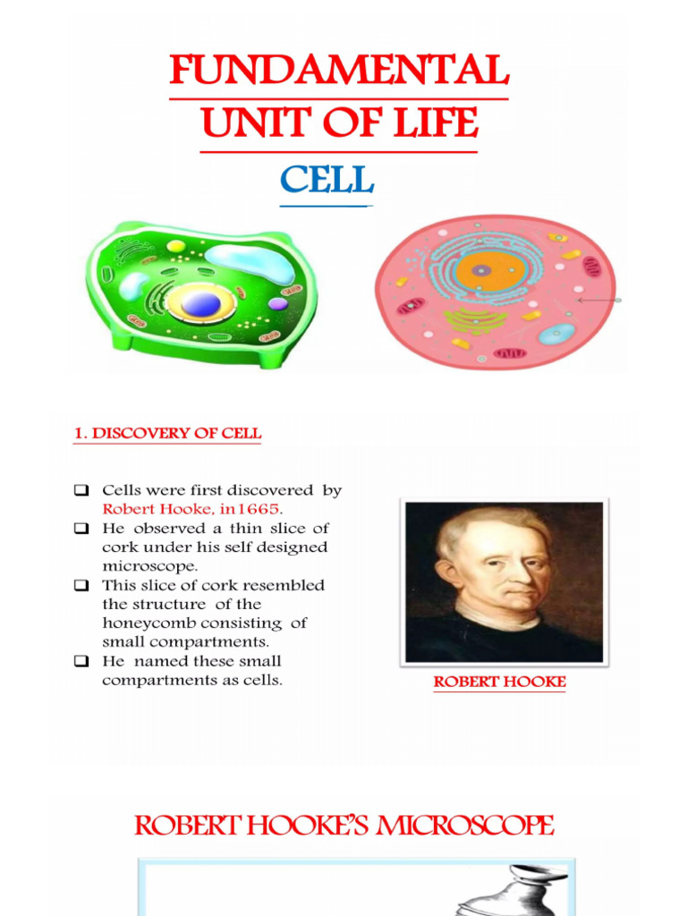 Presentation , cell, class 9th | PDF