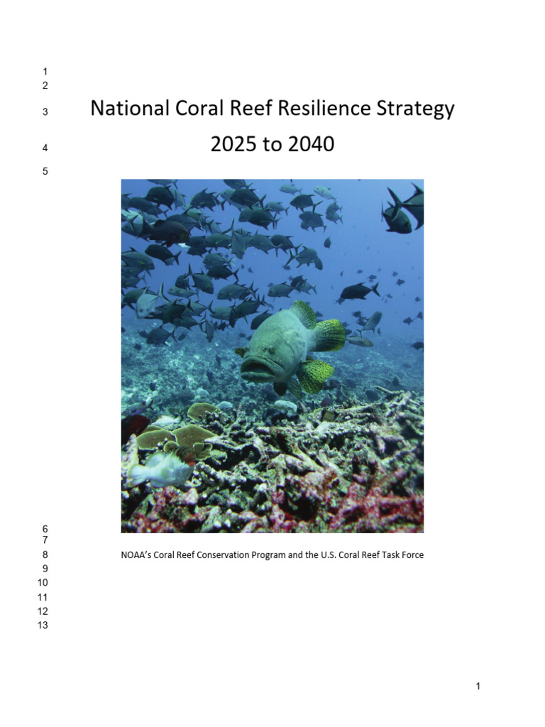 National Coral Reef Resilience Strategy 2025-2040 | PDF | Conservation ...