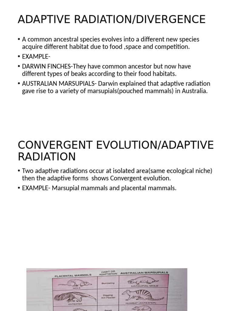 5.adaptive Radiation | PDF
