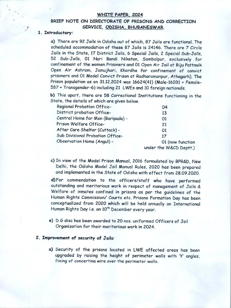 White Paper On Jails | PDF