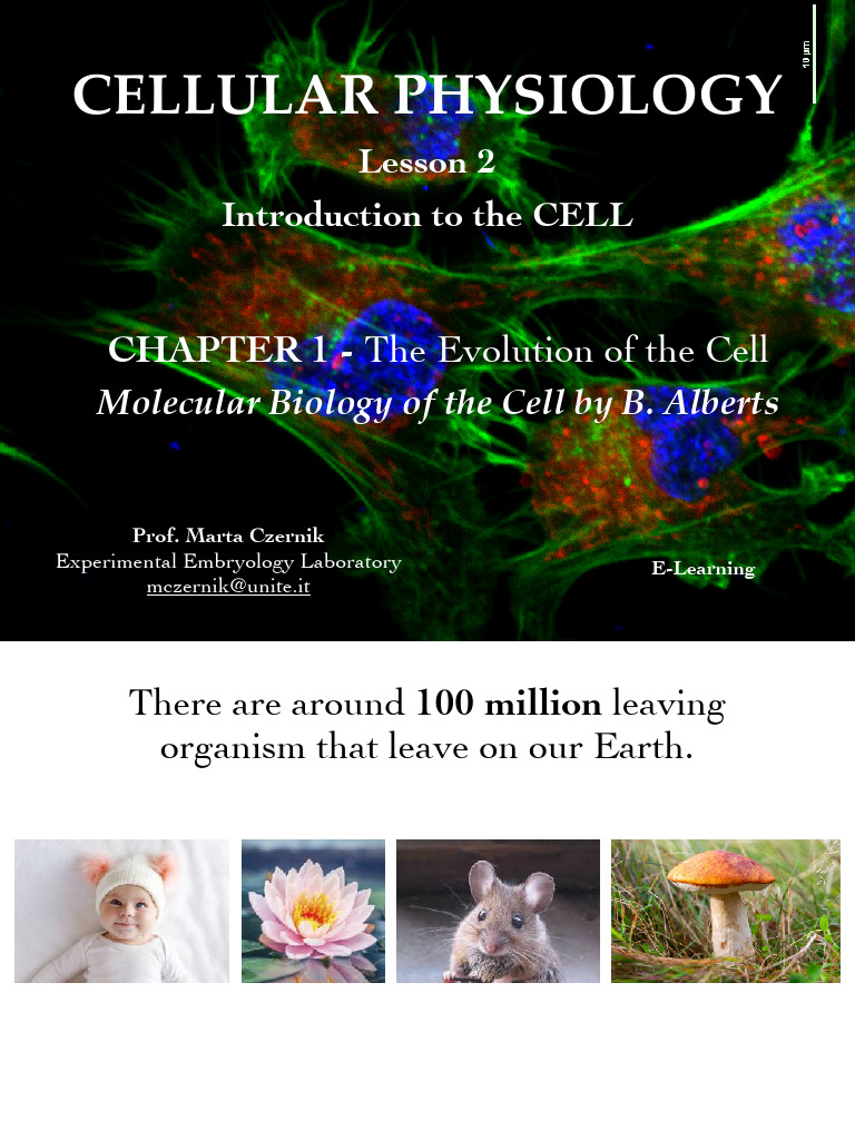 Lesson 2 Introduction To Cell | PDF | Endoplasmic Reticulum | Cell ...