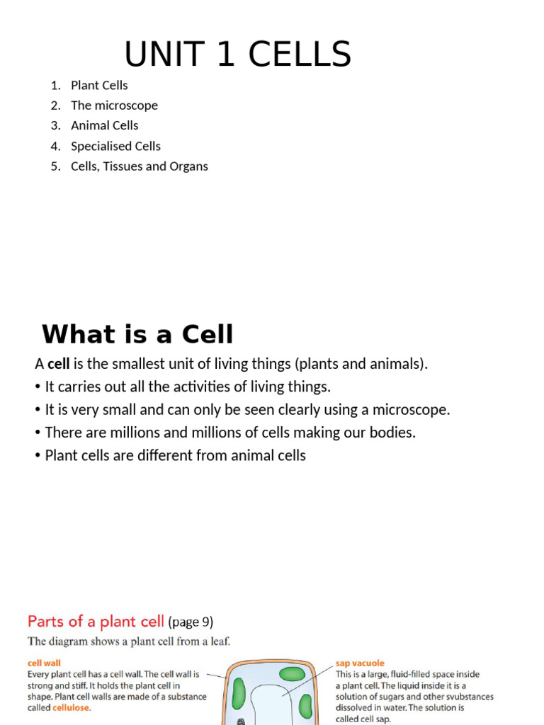 Understanding Cells: Plant & Animal | PDF