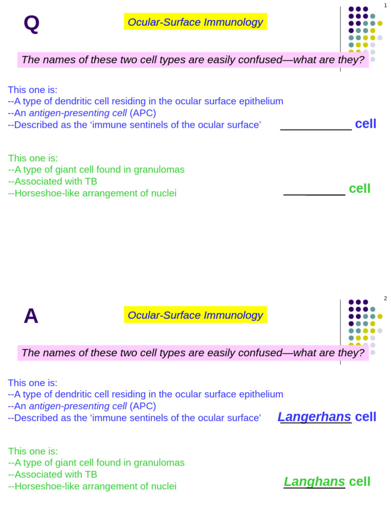 Langerhans vs Langhan Cell | PDF | Epithelium | Cornea