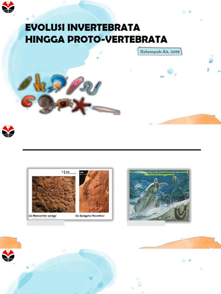 Evolusi Invertebrata dan Proto-Vertebrata | PDF