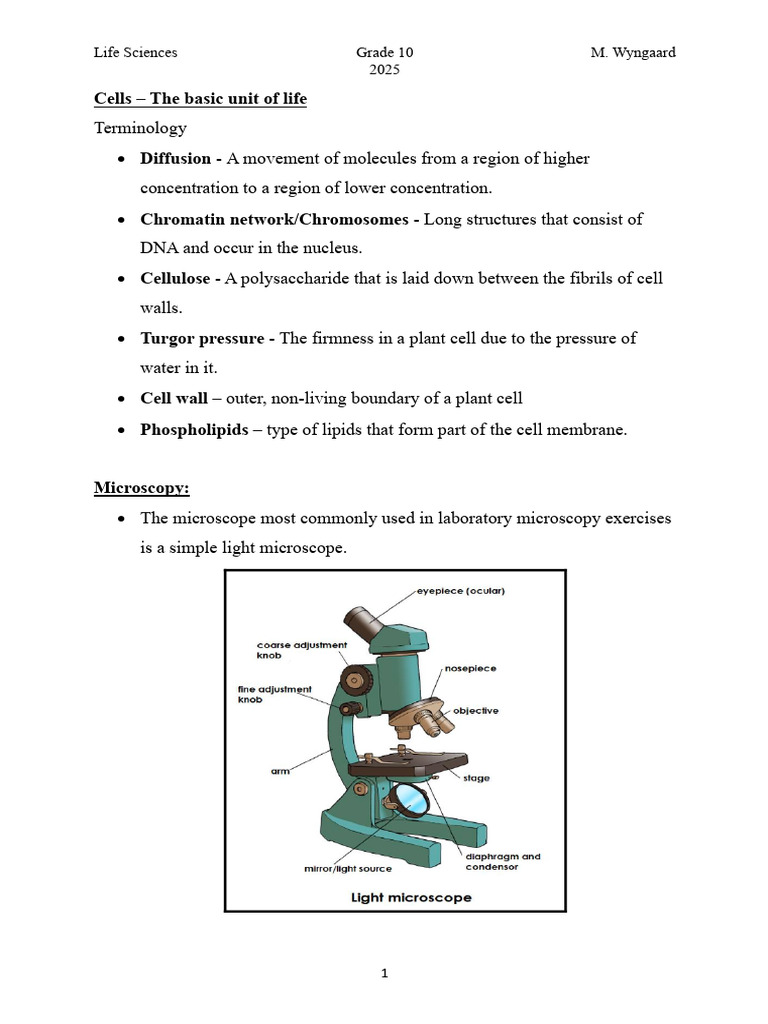 Grade 10 Life Sciences: Cell Biology Basics | PDF | Cell (Biology ...
