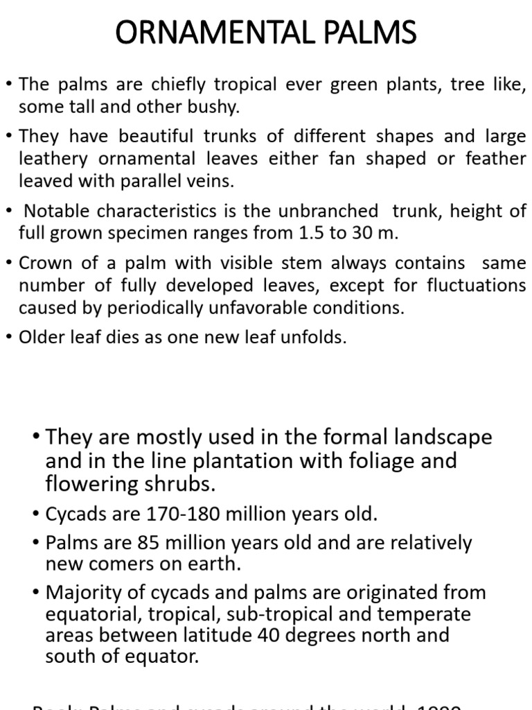 L20 Ornamental Palms I 14-22 | PDF | Arecaceae | Coconut