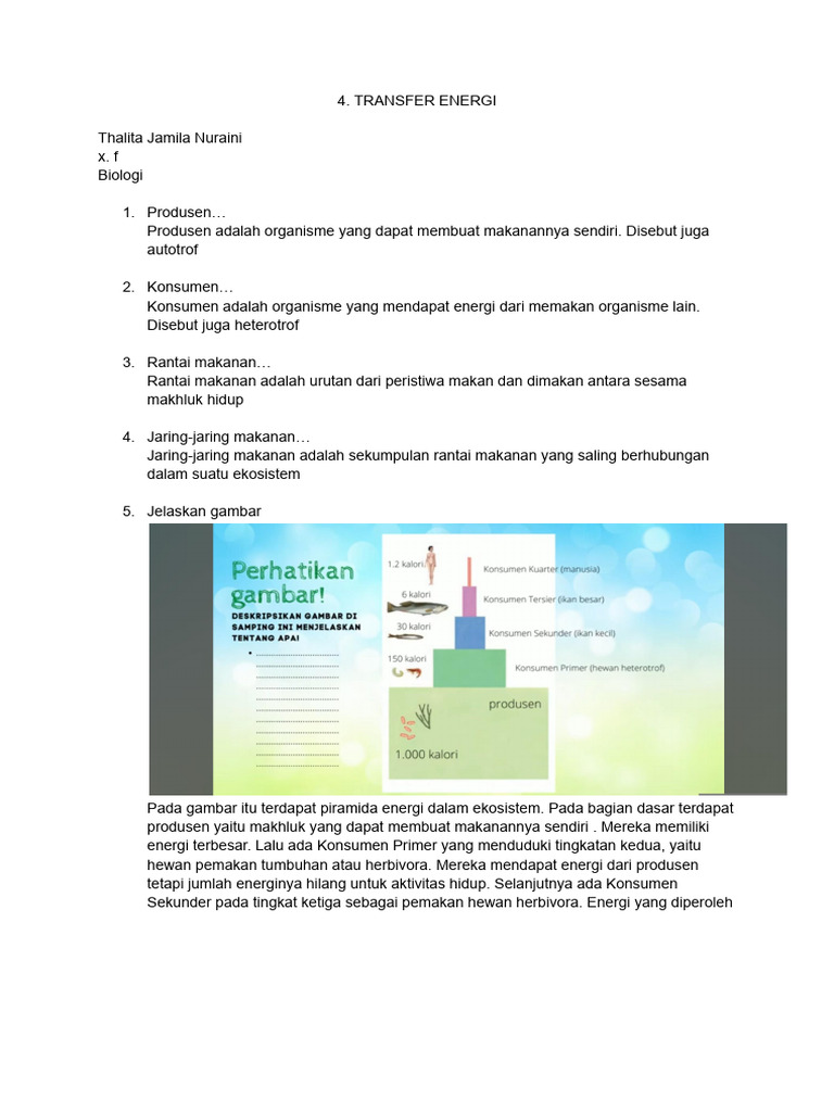 Rantai Makanan dan Transfer Energi Ekosistem | PDF