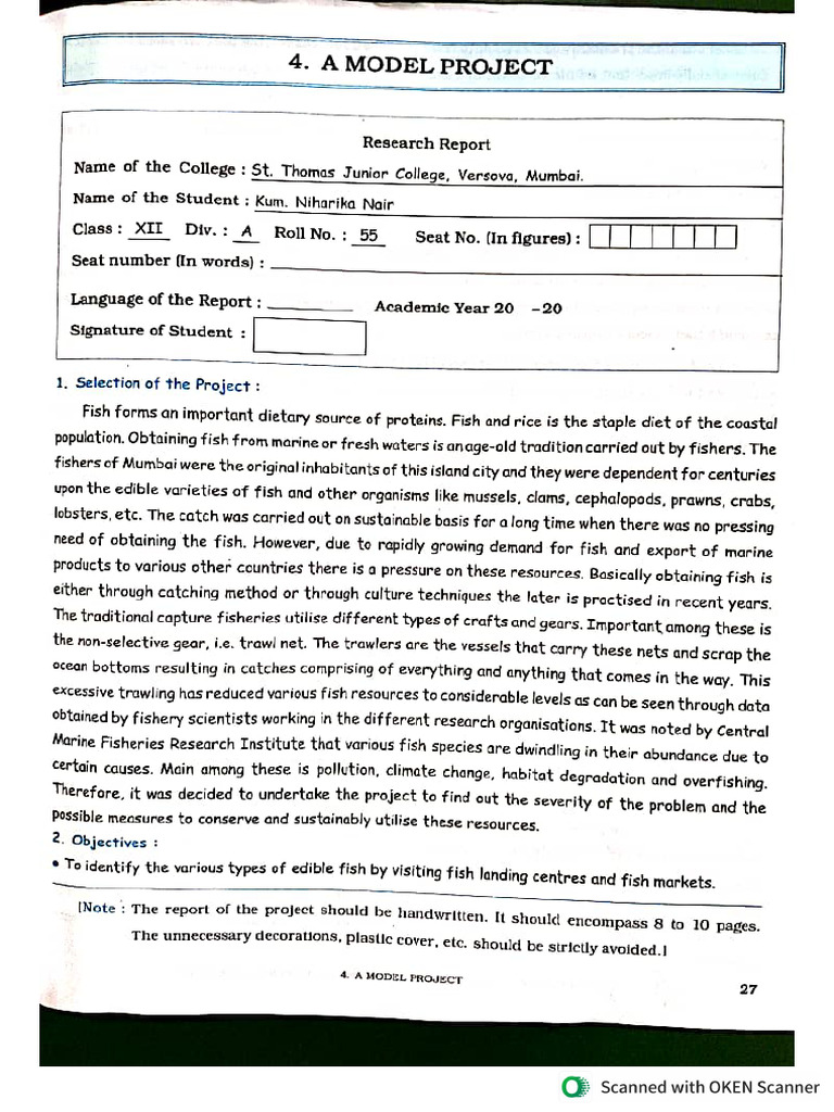 EVS Project Report | PDF