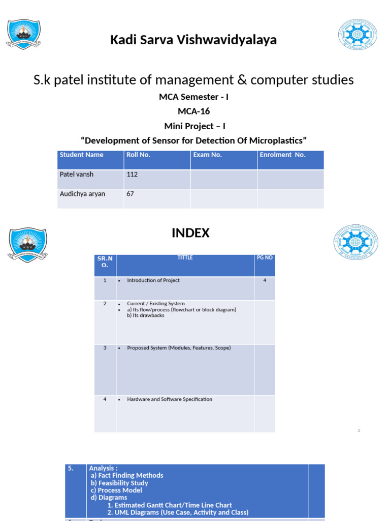 Mini Project - I | PDF