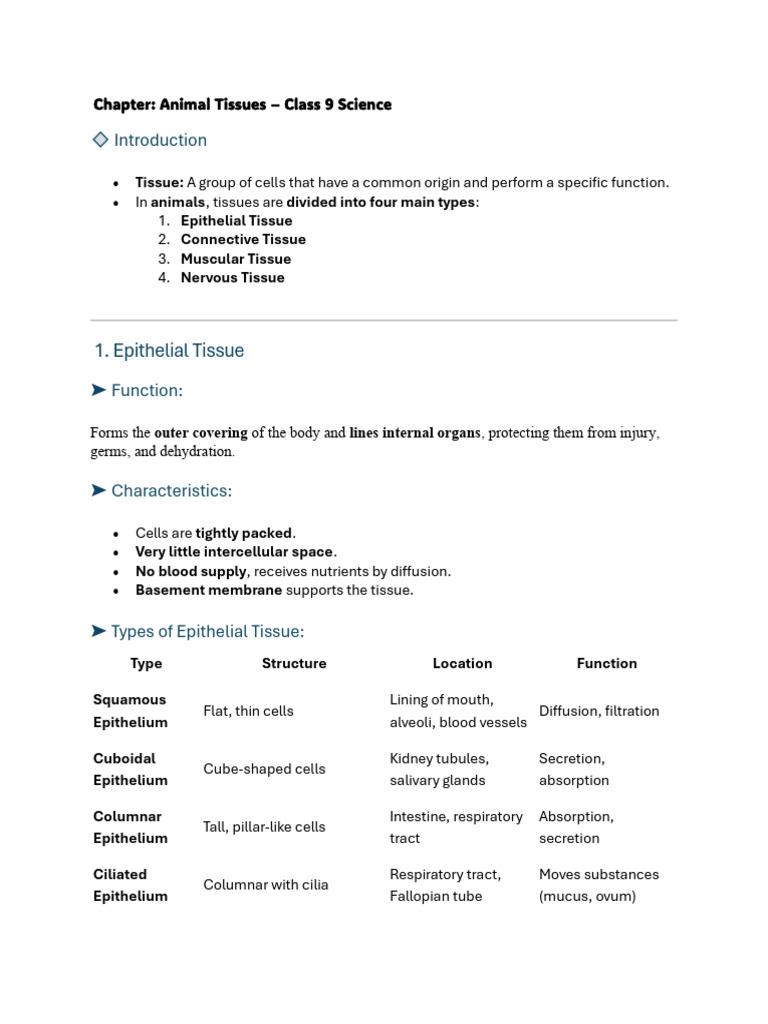 Animal Tissues Overview for Class 9 | PDF | Epithelium | Tissue (Biology)