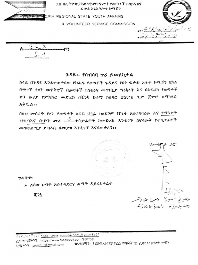 New Document | PDF