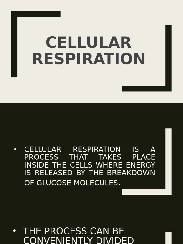 CELLULAR-RESPIRATION | PDF | Cellular Respiration | Adenosine Triphosphate