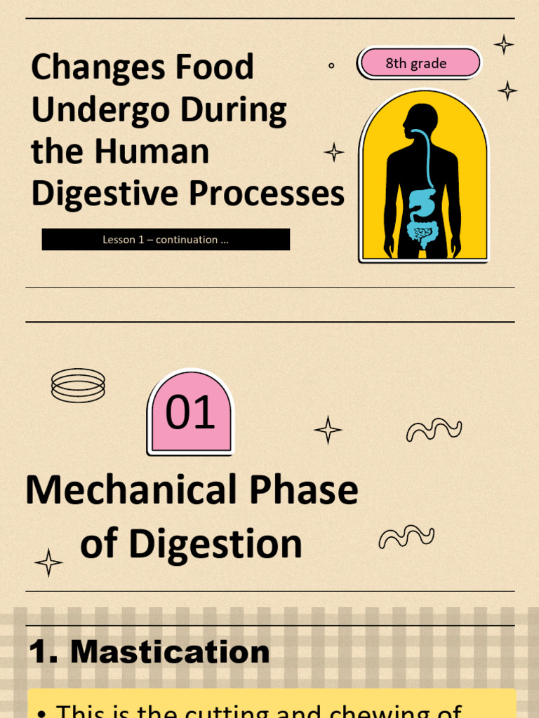 4 Human Digestion Continuation | PDF | Digestion | Stomach