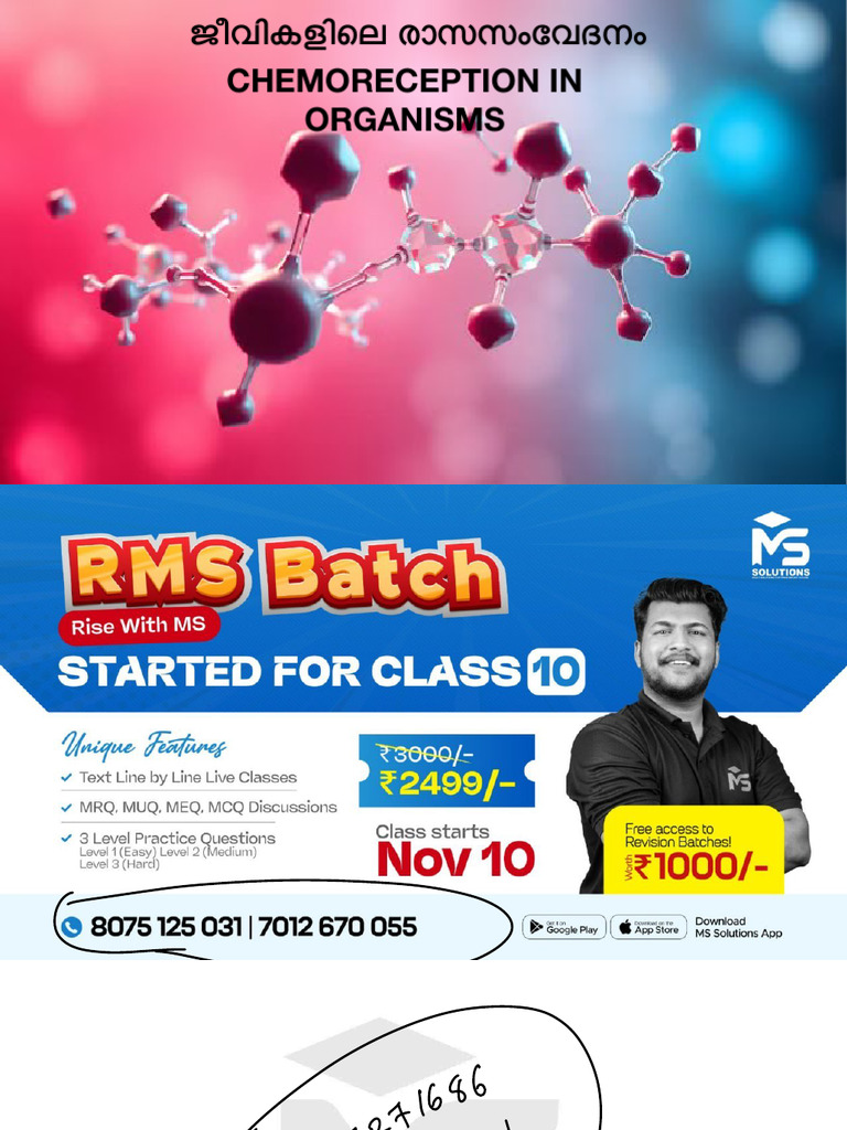 Bio 10 4 Chptr Live Part 2 (1) | PDF