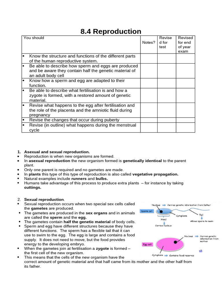 Reproduction Summary Sheet - New | PDF | Sexual Reproduction ...