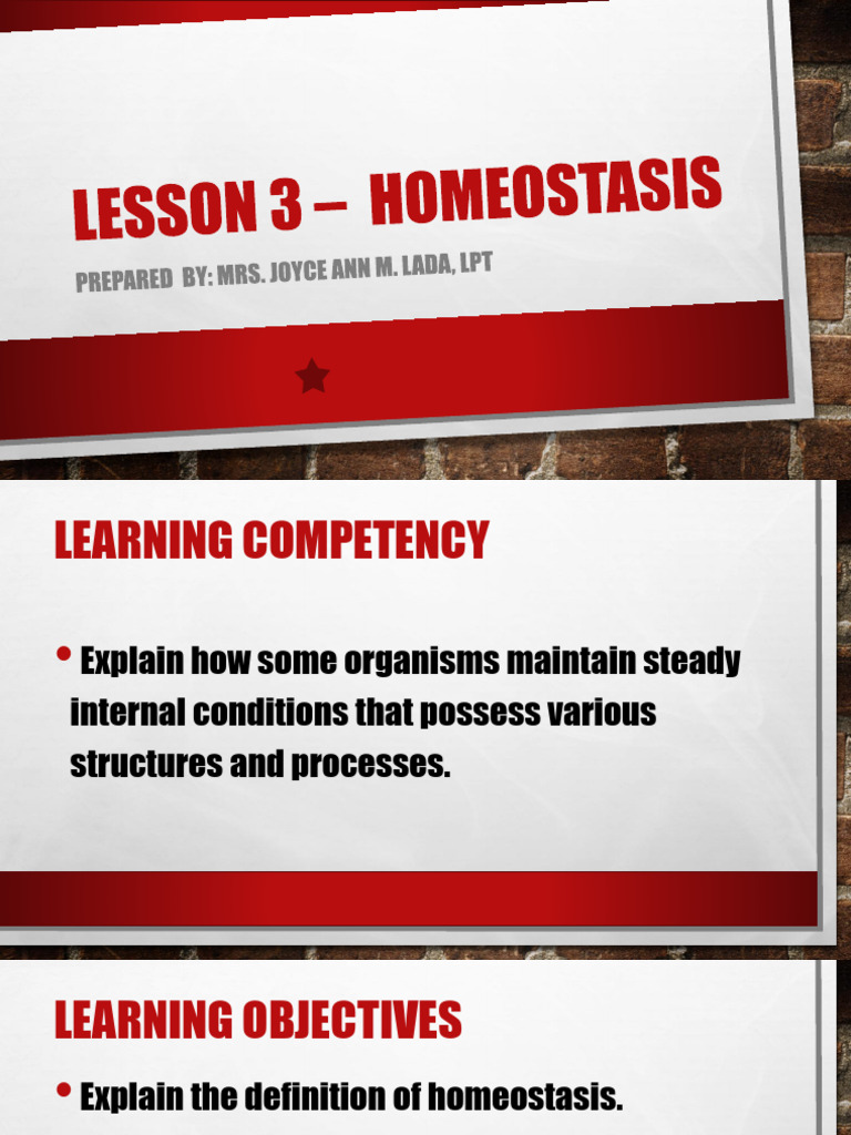 Lesson 3 - Homeostasis | PDF | Homeostasis | Hormone