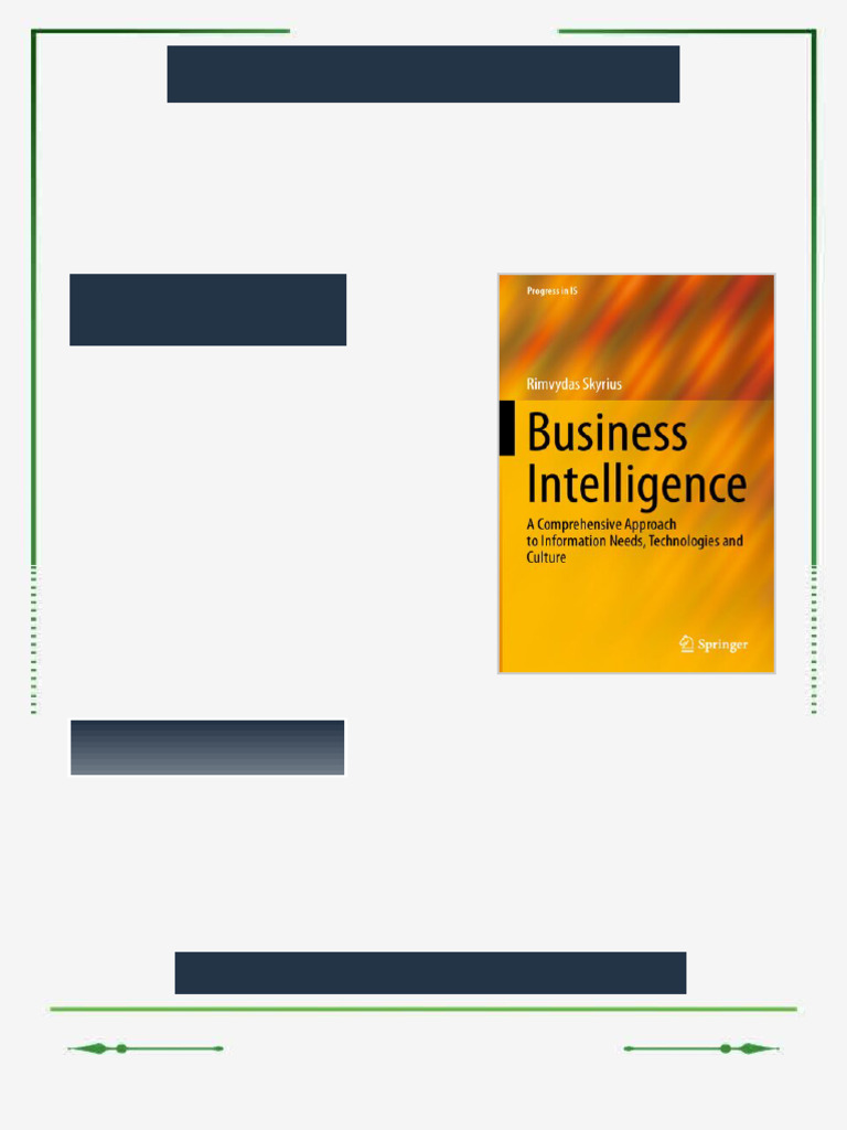 Business Intelligence: A Comprehensive Approach to Information Needs ...