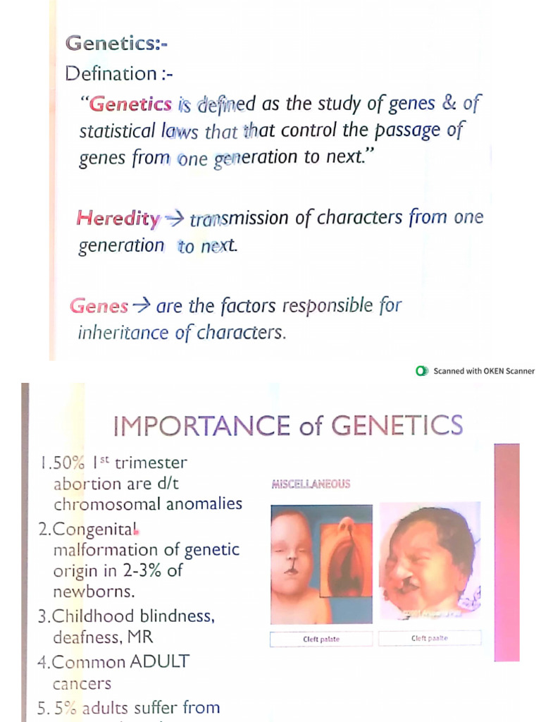 Genetics | PDF