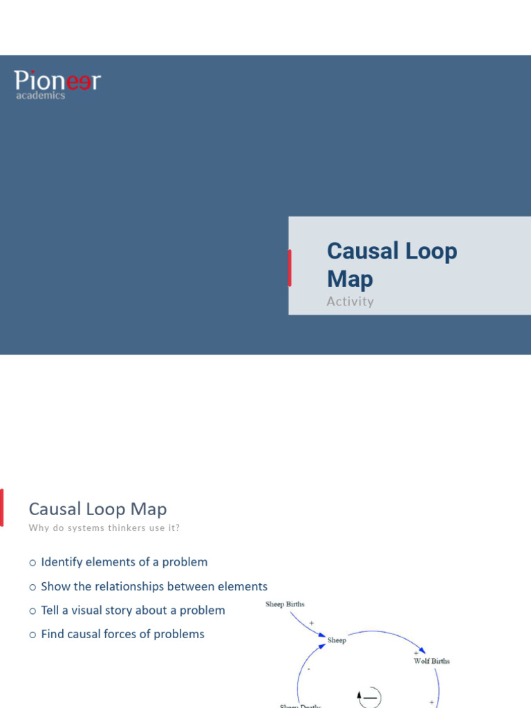 Causal Loop Map | PDF