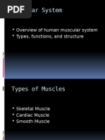Cell Cycle Presentation | PDF