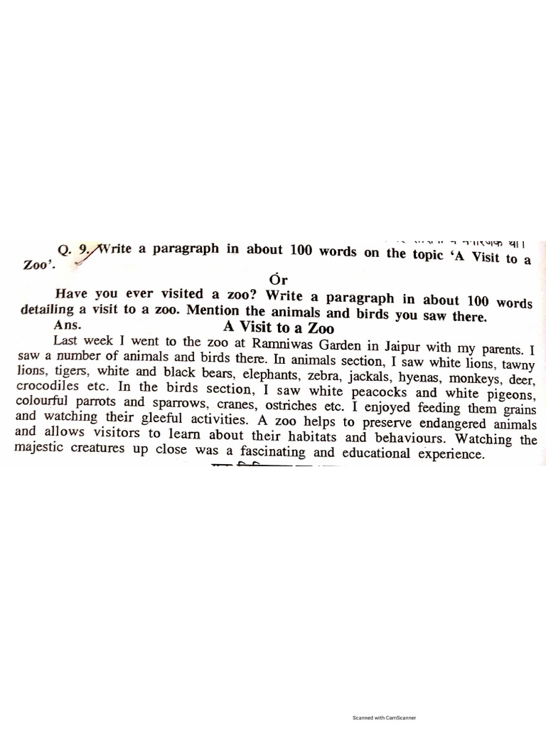 paragraph and picture composition | PDF