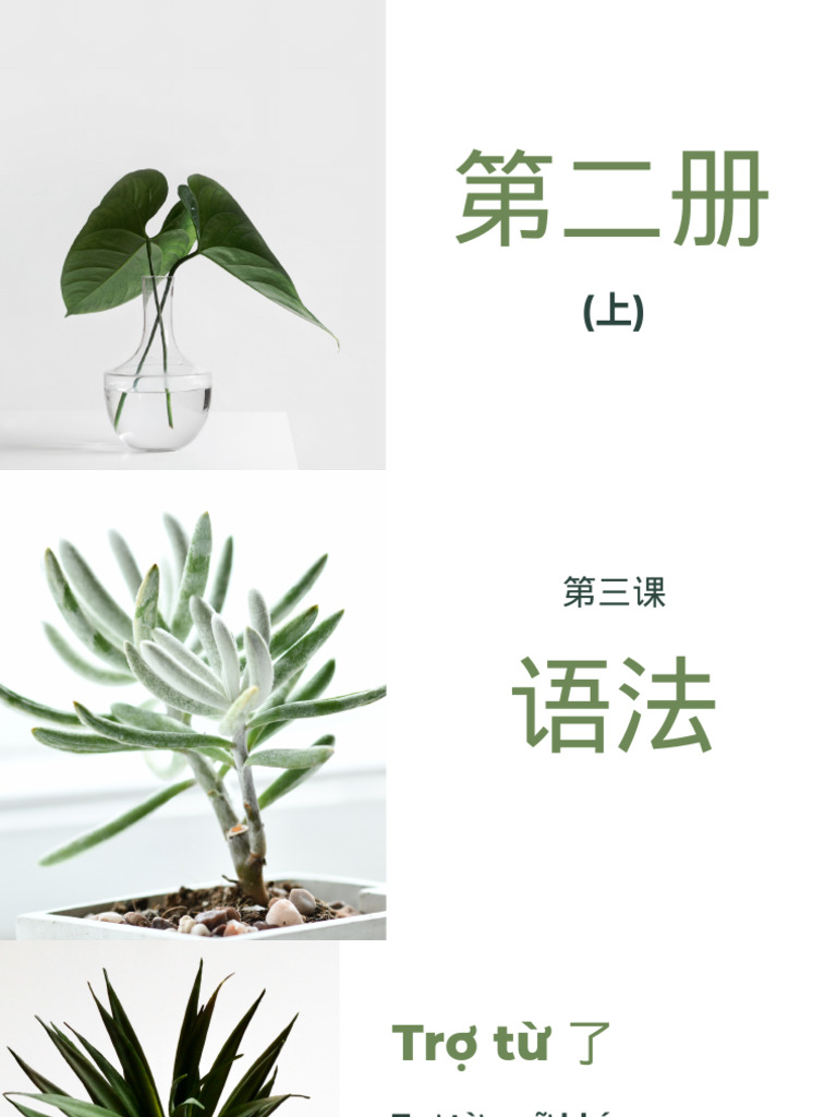 Quyển 3_Bài 3 | PDF