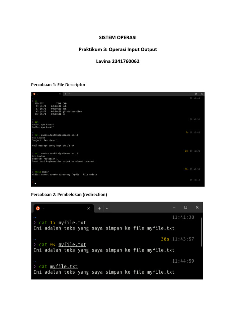 LAPORAN Input Output | PDF