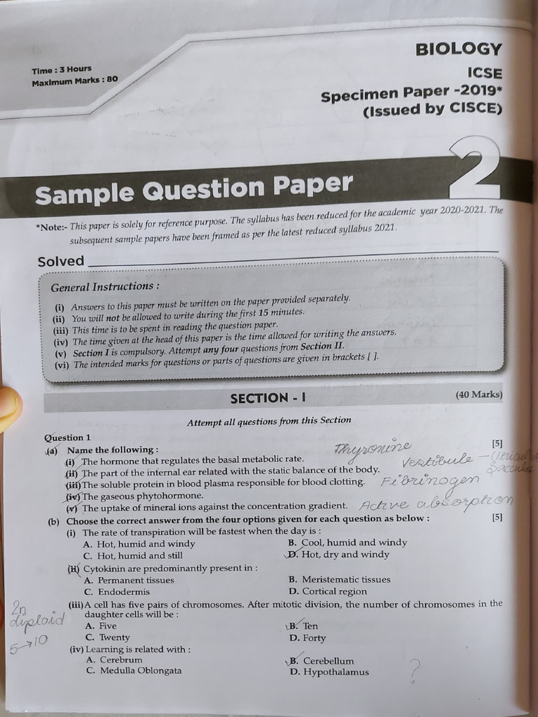 ICSE Biology Sample Paper 2019 | PDF | Neuron | Anatomy