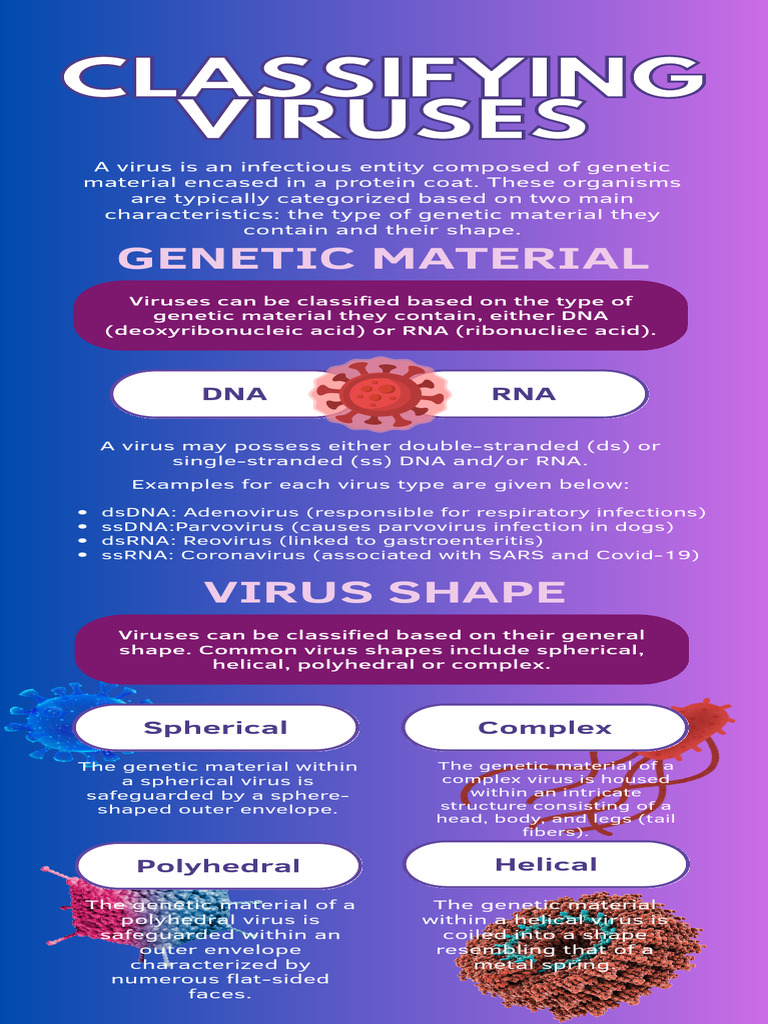 Infographic Virus Classification | PDF