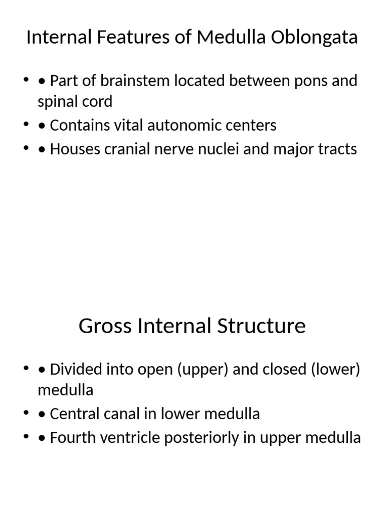 Medulla_Internal_Features PPT m. Prem Kumar Roll No. 46 | PDF