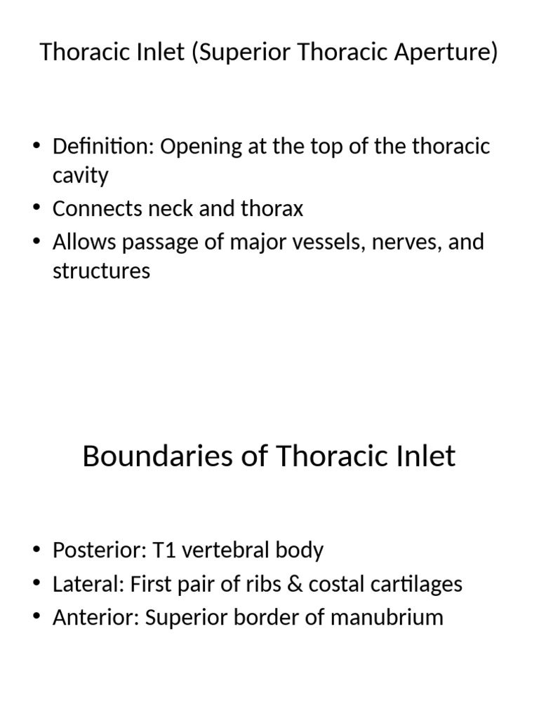 Thoracic - Inlet - Anatomy PPT M. Premkumar Roll No. 46 | PDF