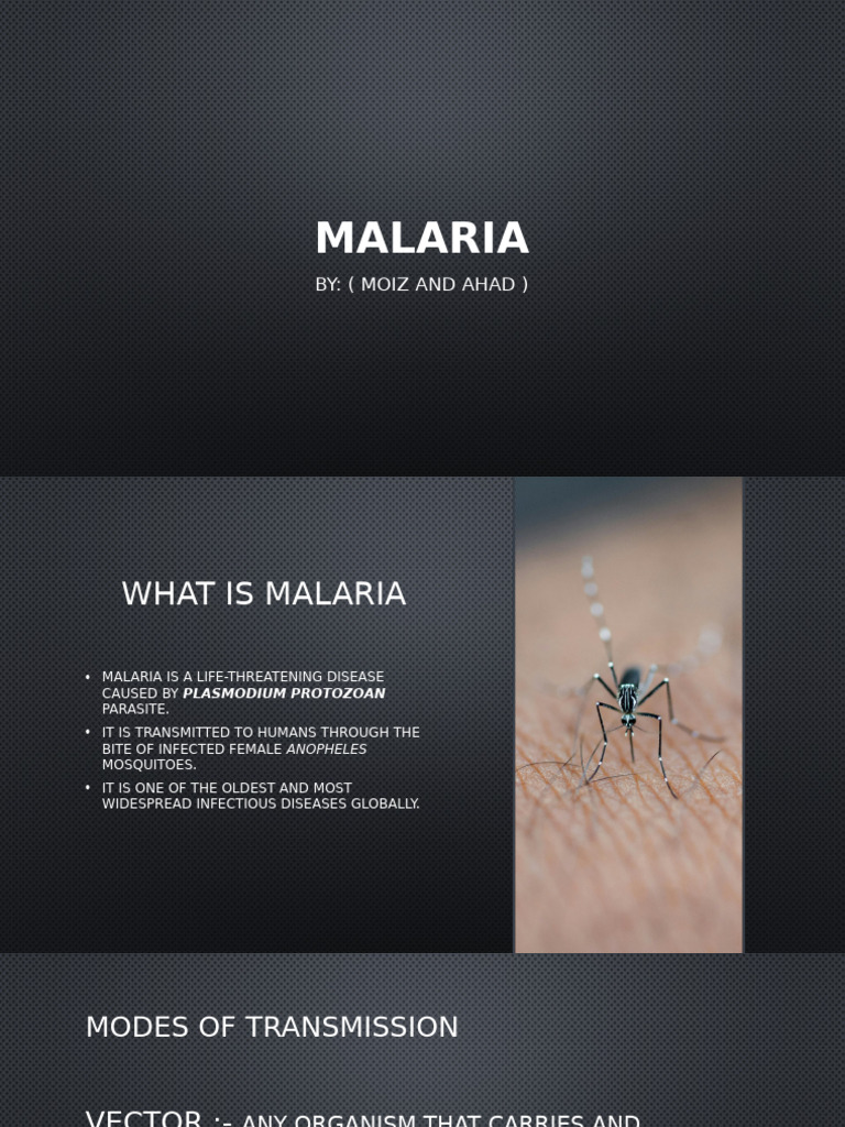 Malaria Notes | PDF