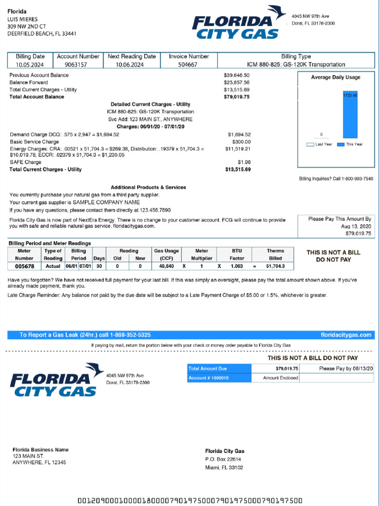 Florida City Gas | PDF
