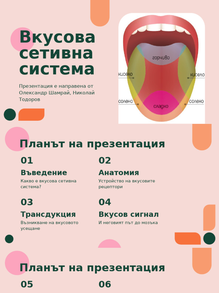 Taste Sense For Biology Lesson | PDF