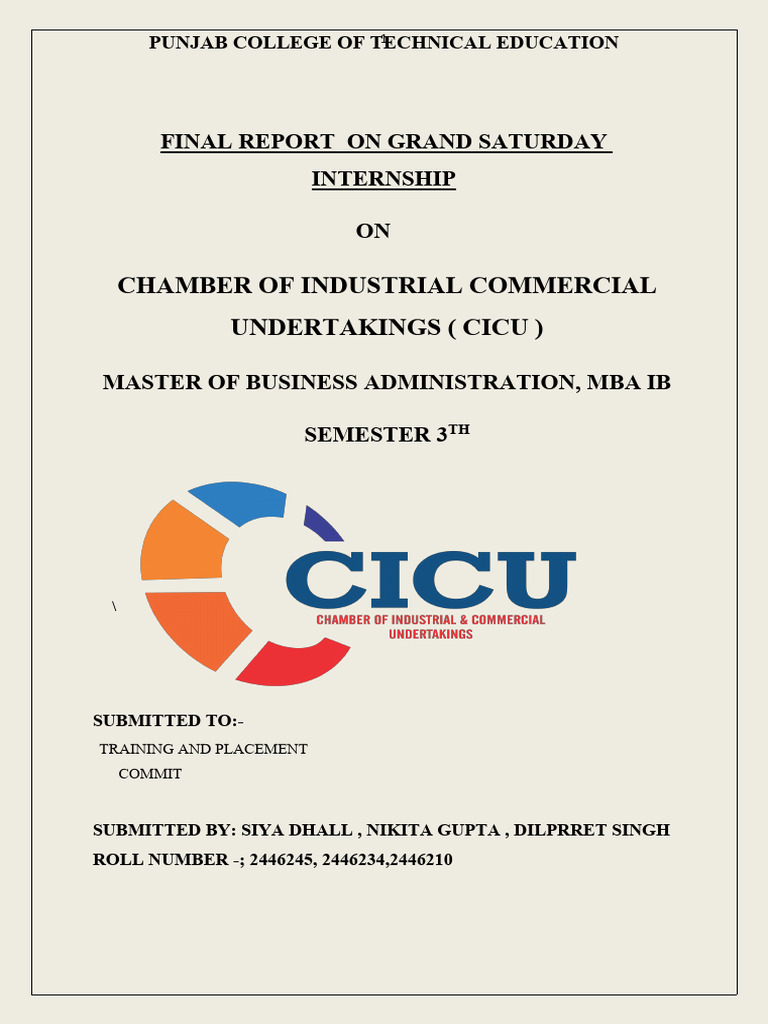 Cicu Report Part A.doc2 | PDF | Economies | Business