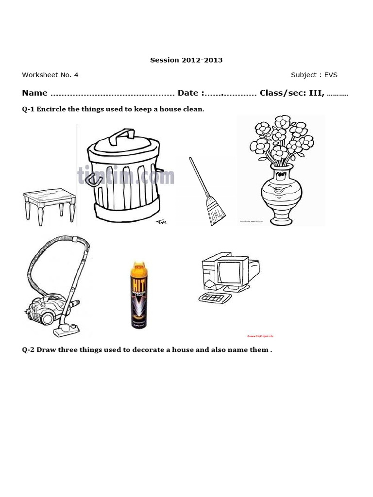 CBSE Class 3 EVS Practice Worksheet | PDF