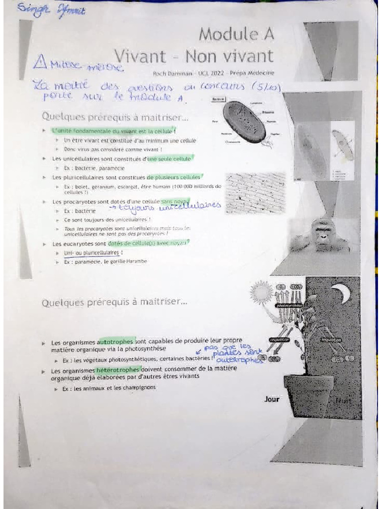 Distinction entre vivant et non-vivant | PDF | Cellule (Biologie ...