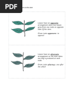 CBSE Class 3 EVS Practice Worksheet (3) (1) | PDF