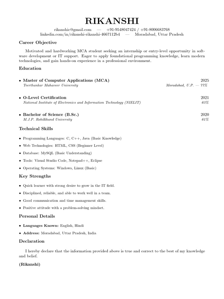 Rik Rajput CV | PDF