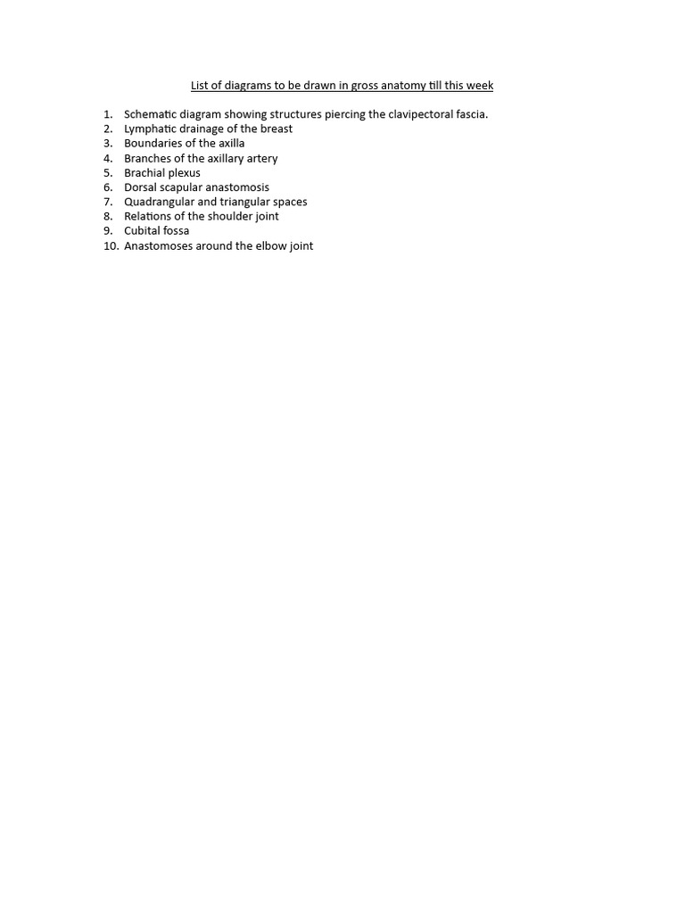 List of Diagrams To Be Drawn in Gross Anatomy For This Week | PDF