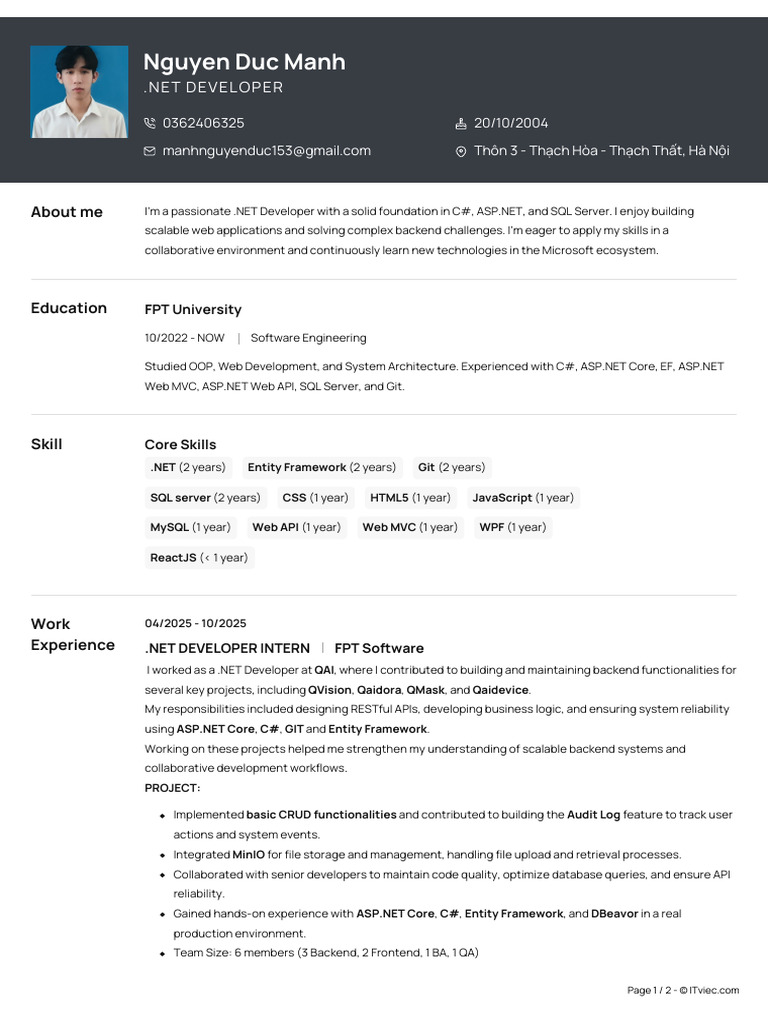 Nguyen Duc Manh Net Developer CV | PDF | Entity Framework | Computer Libraries