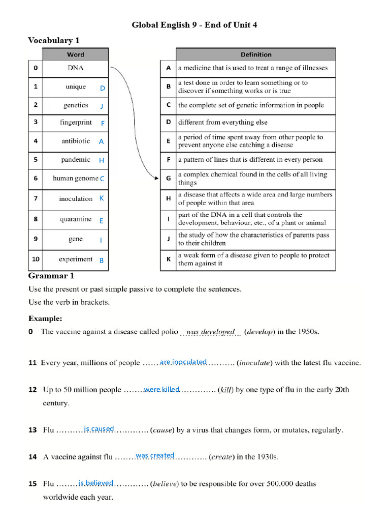 Global English 9: Unit 4 Vocabulary & Grammar | PDF