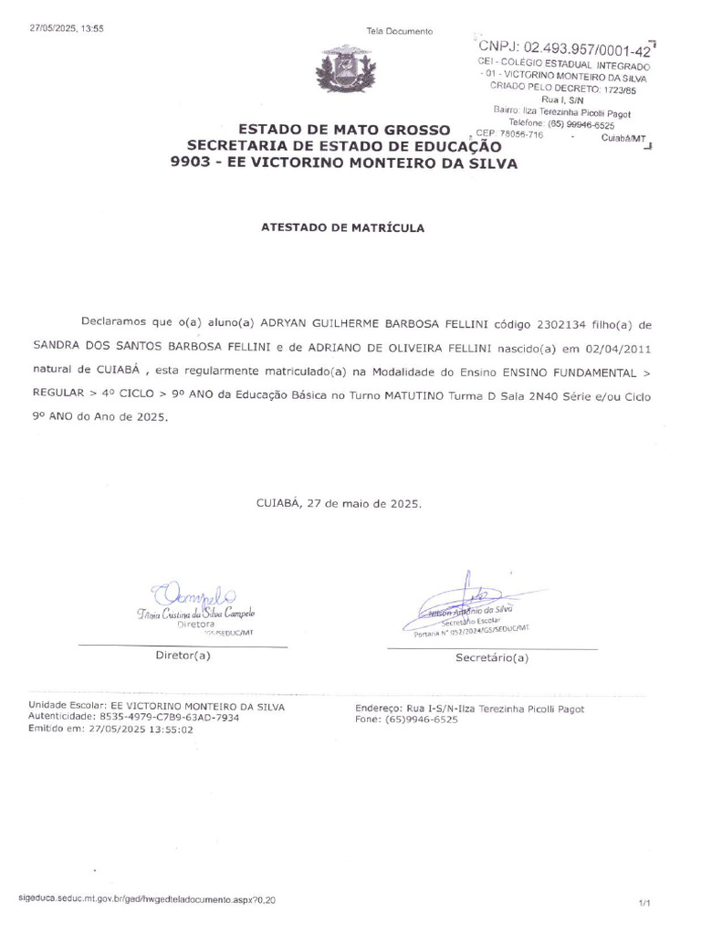 Adryan Matricuka_compressed (1) | PDF