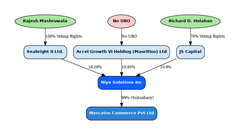Ownership Tree Vertical Mercatus | PDF