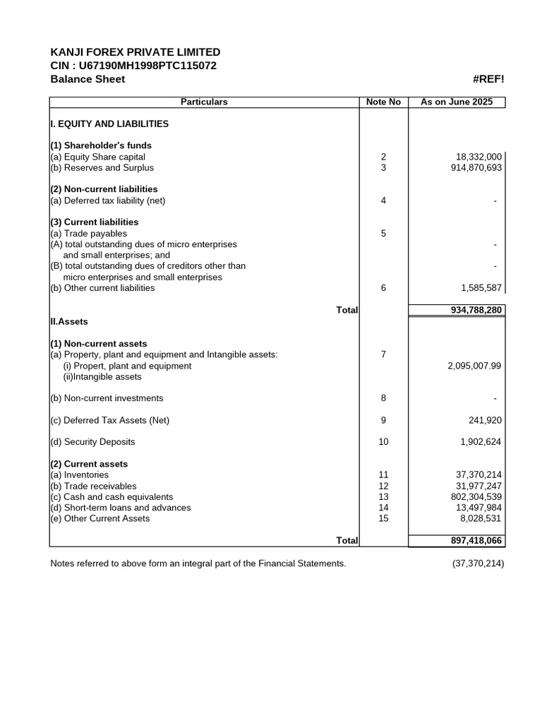 Kanji Forex Pvt Ltd Financial Statements 2025 | PDF | Equity (Finance ...