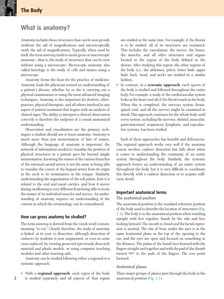 Anatomy: Regional vs. Systemic Study | PDF | Human Body | Anatomy
