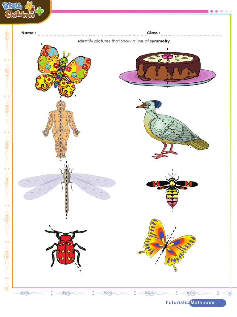 Symmetry Real Life Objects Worksheet | PDF
