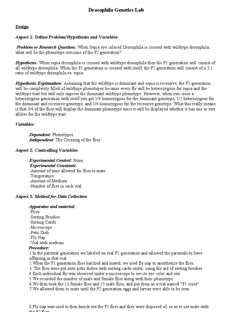 Drosophila Lab Report | PDF | Dominance (Genetics) | Zygosity