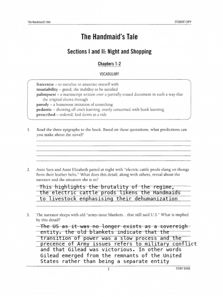 The Handmaid's Tale Chapter Questions | PDF